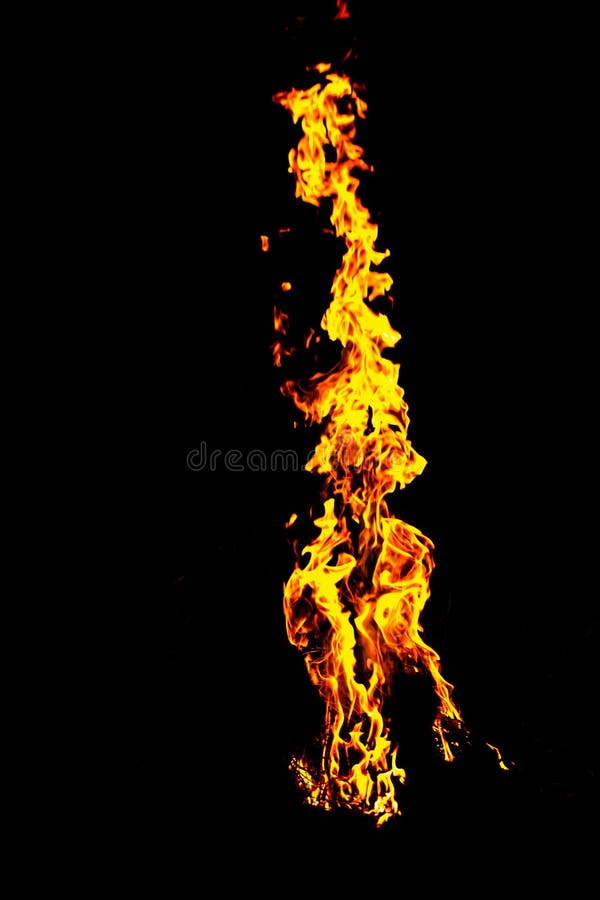The Fire Burns Rice Straw and Hay Stock Photo - Image of burn, blaze ...