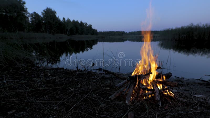 A Fire Burns on the Shore of a Forest Lake Stock Video - Video of ...