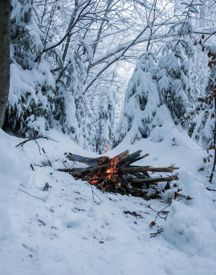 Fire Burns in the Snow in the Woods, on a Background of Snow-covered ...