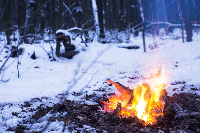 Fire Burns in the Snow in the Woods, on a Background of Snow Covered ...