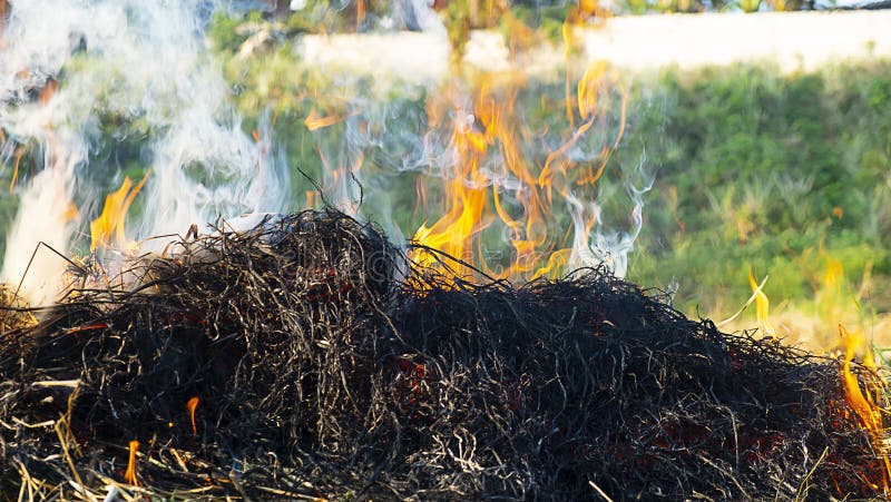 On fire abstract stock image. Image of danger, grass - 134110137