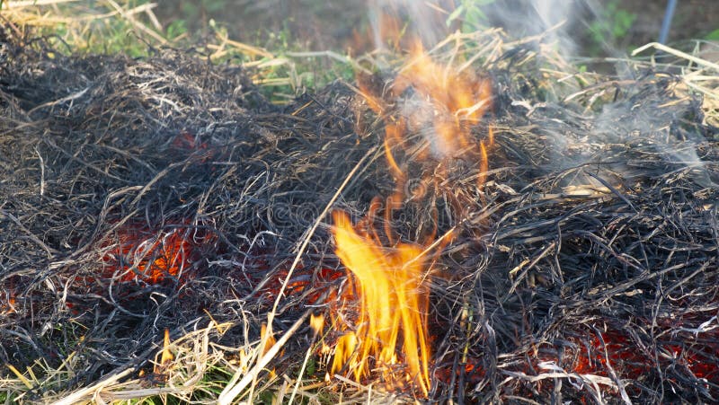 On fire abstract stock image. Image of land, fire, danger - 134110139