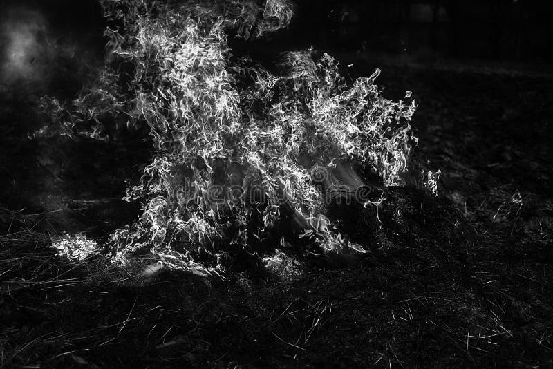Fire Burns Straw Field after Harvest Stock Image - Image of brown ...