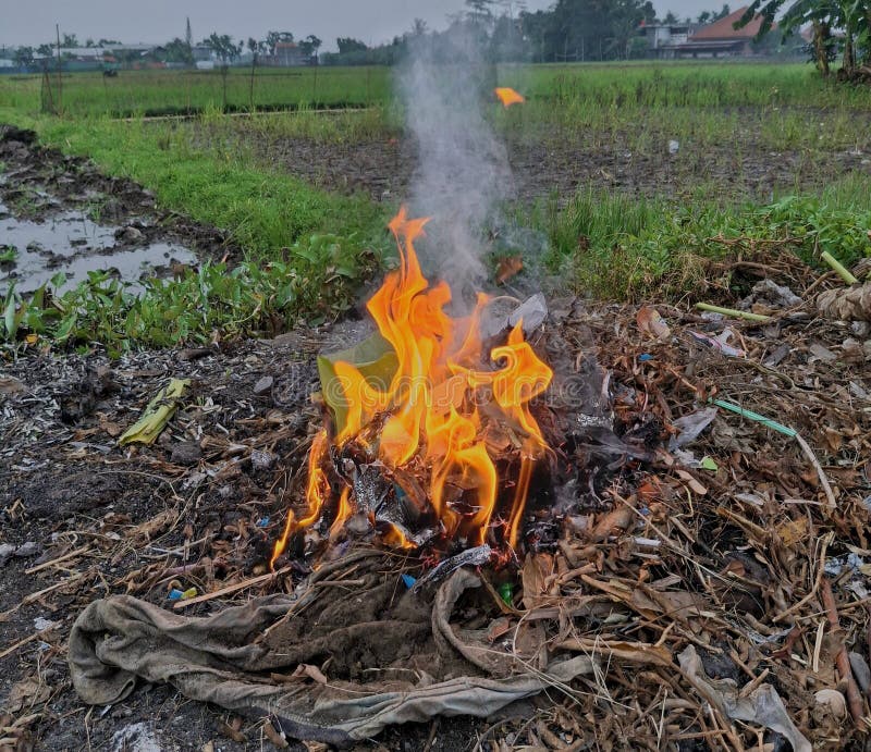 Fire burns trash stock photo. Image of asphalt, burns - 346160252