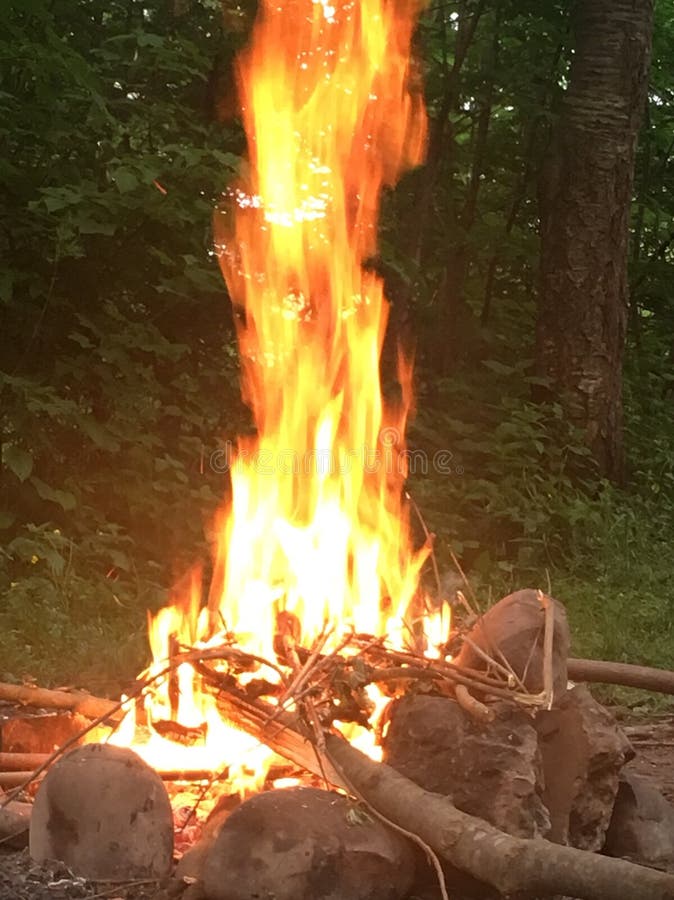 Fire camp stock image. Image of fire, trees, camp, forest - 126866821