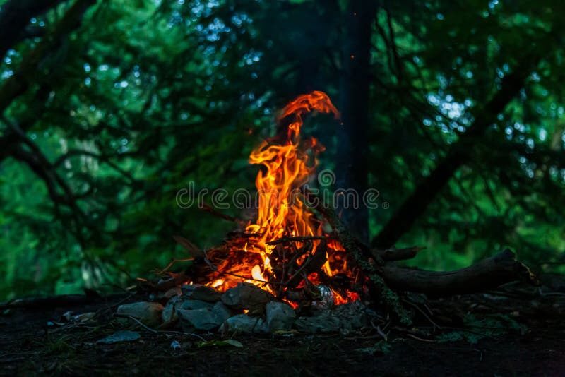 Fire camp stock photo. Image of nature, element, wood - 229955528
