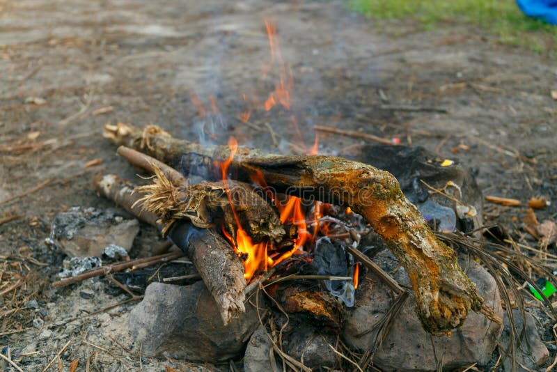 Fire camping on ground stock image. Image of burn, camp - 179295863