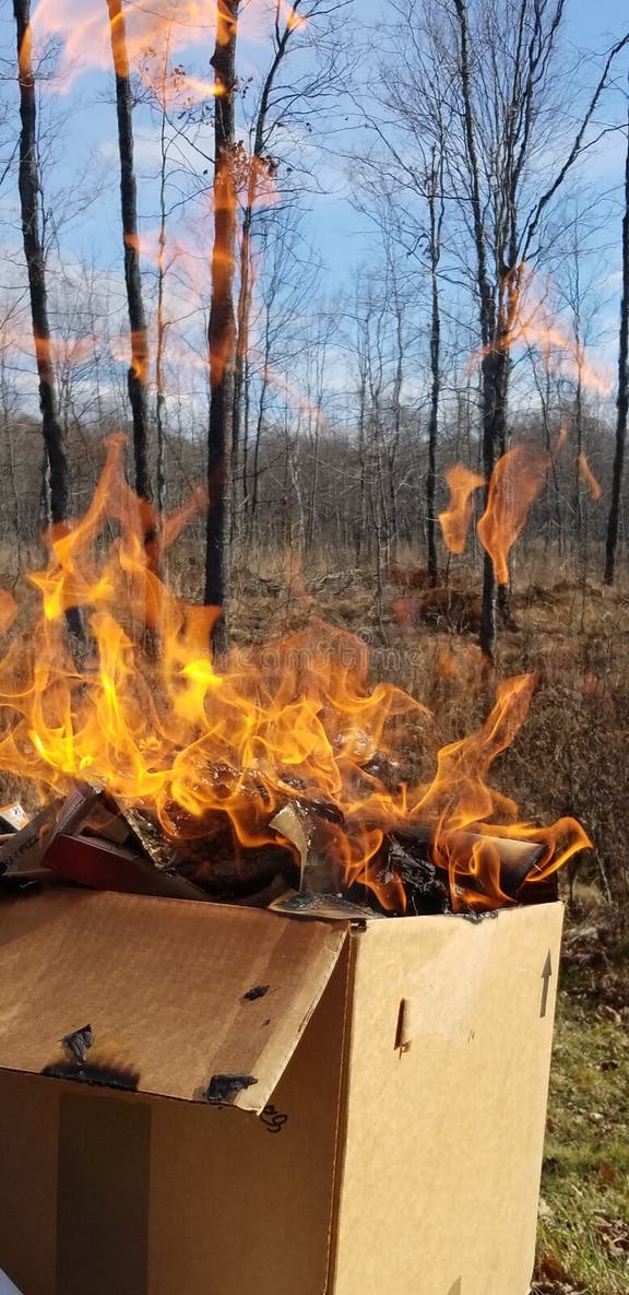 Fire stock photo. Image of trees, outdoors, fire, cardboard - 131217100