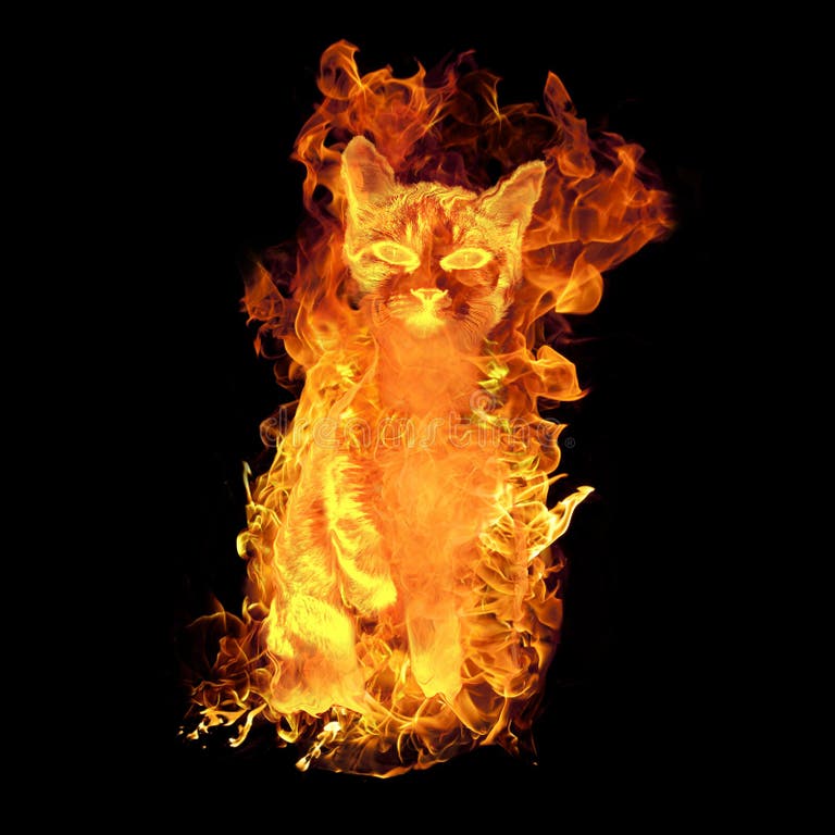 Fire Cat stock illustration. Illustration of burn, fire - 48038521