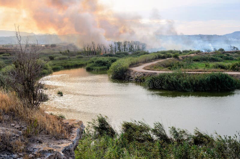 Fire Caused by the Destruction Humans. Stock Image - Image of wild ...