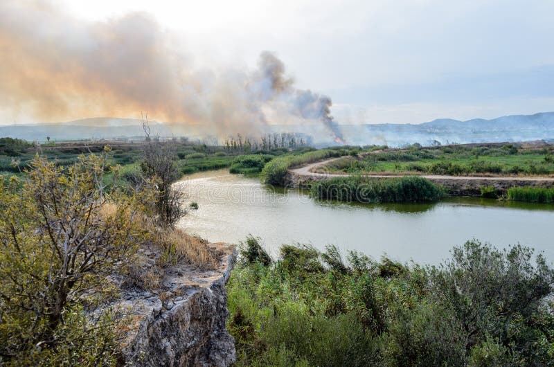 Fire Caused by the Destruction Humans. Stock Photo - Image of wild ...