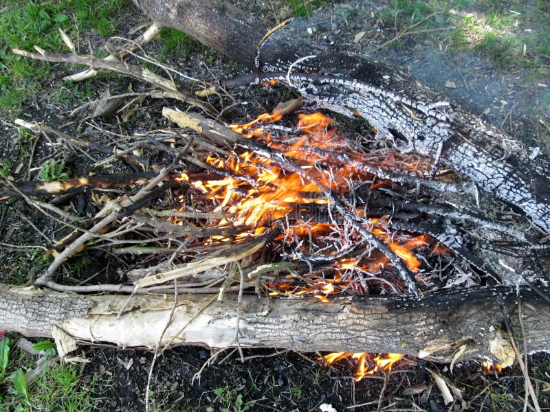 Fire among the Charred Tree - Top View Stock Photo - Image of heat ...
