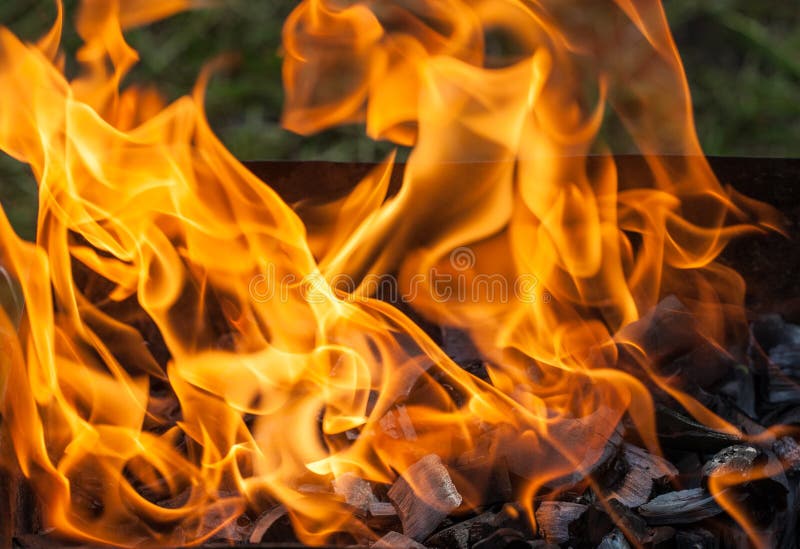 Fire close up stock image. Image of color, black, flame - 31774037