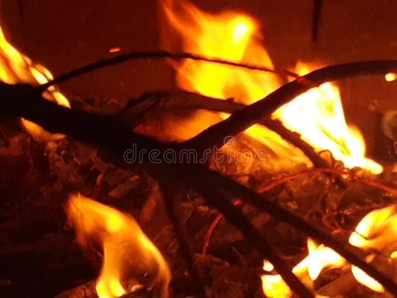 Alone stock photo. Image of flames, alone, coals, fire - 108309456