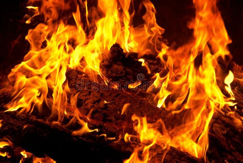 Fire And Coil Picture. Image: 4559231