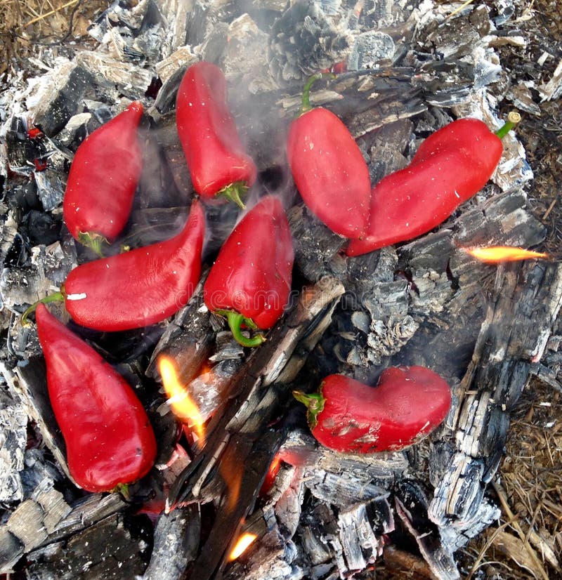 Fire and Cooking on the Beach Stock Image - Image of evening, water ...