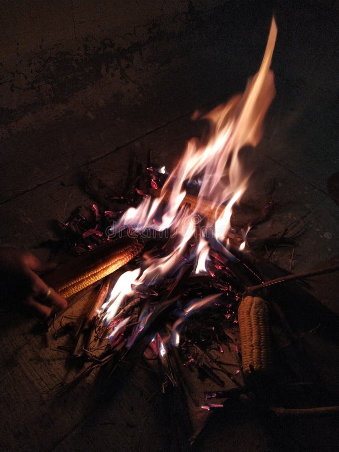 Fire Corn Roasting Bone Fire Night View Stock Photo - Image of bone ...