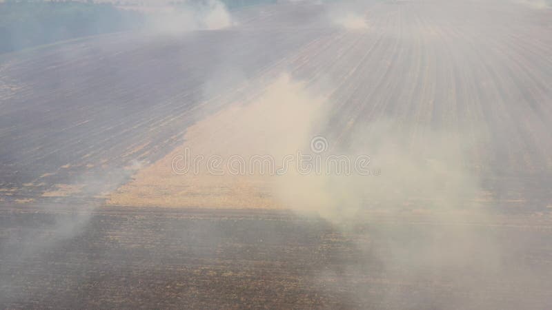 Fire in a Cornfield after the Harvest Stock Video - Video of fire, corn ...