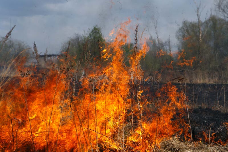 Firenature Stock Photos - Free & Royalty-Free Stock Photos from Dreamstime