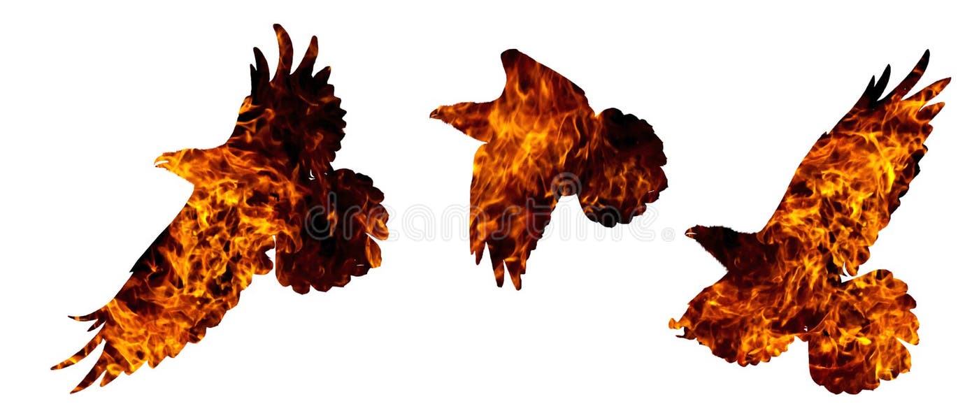 Fire Crows Stock Photos - Free & Royalty-Free Stock Photos from Dreamstime