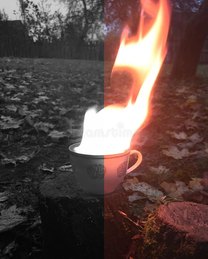 Fire in a cup stock photo. Image of fire, ignites, lighting - 201476742