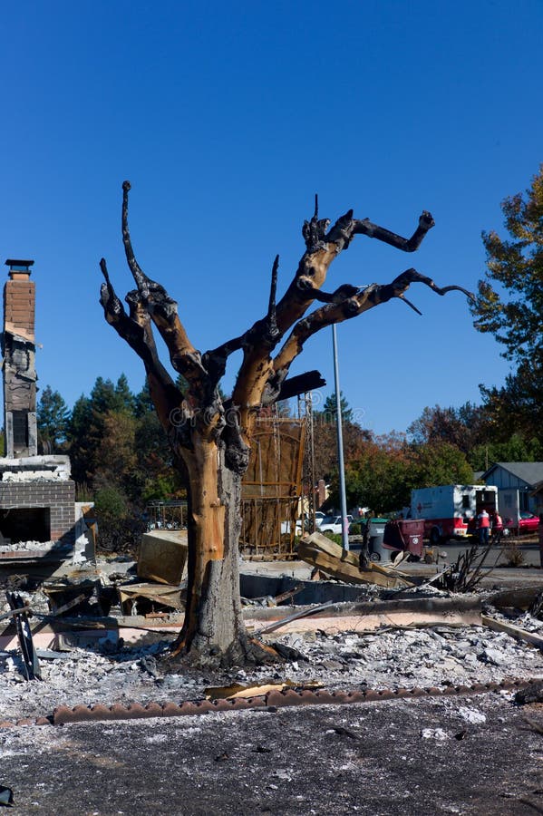 Fire Damage in California stock photo. Image of disaster - 164285492