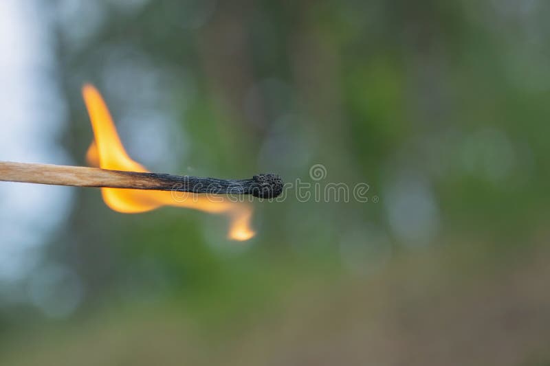 Fire Danger in the Forest. a Burning Match Stock Photo - Image of ...