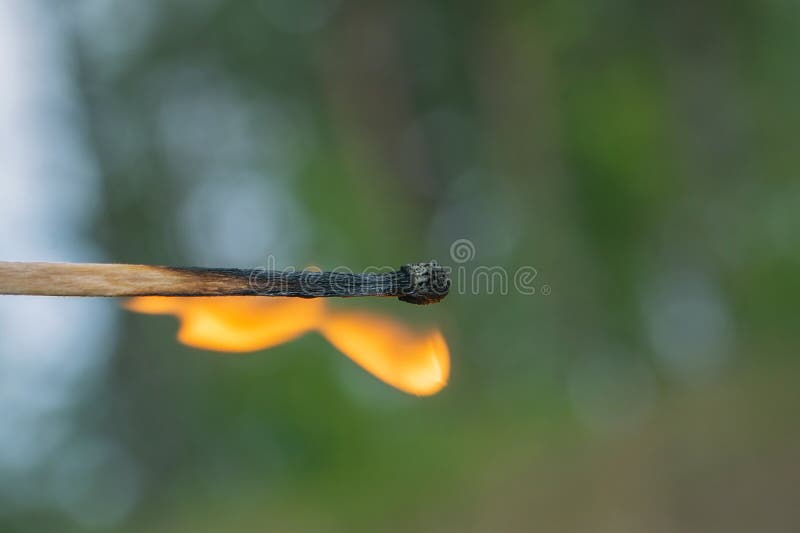 Fire Danger in the Forest. a Close-up of a Burning Match Stock Photo ...