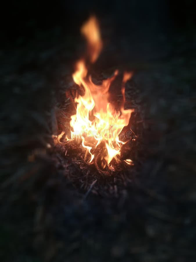 Fire in the dark stock image. Image of fire, dark, darkness - 220001585
