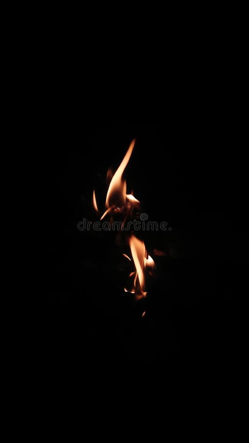 Fire in the dark stock photo. Image of nature, dark - 274949784