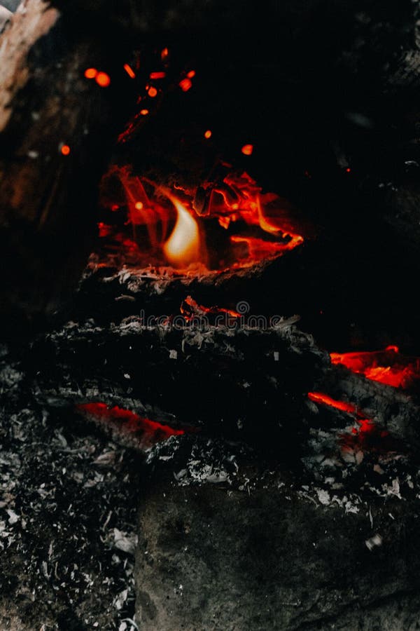 Fire in the Dark in the Forest Cold Stock Image - Image of light ...