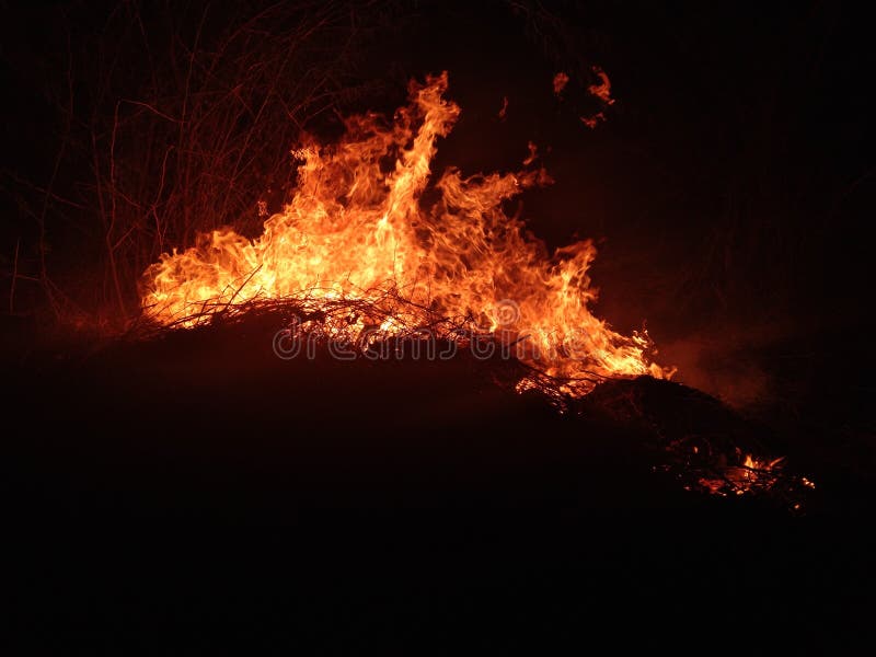 Fire stock image. Image of dark, night, fire - 126193365
