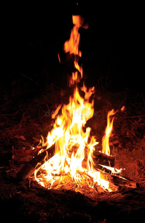 Campfire at night stock image. Image of bonfire, orange - 33221487