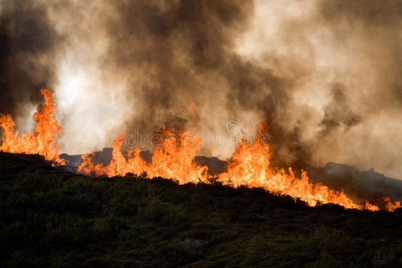 Fire & Deforestation stock photo. Image of smoke, disaster - 5292106