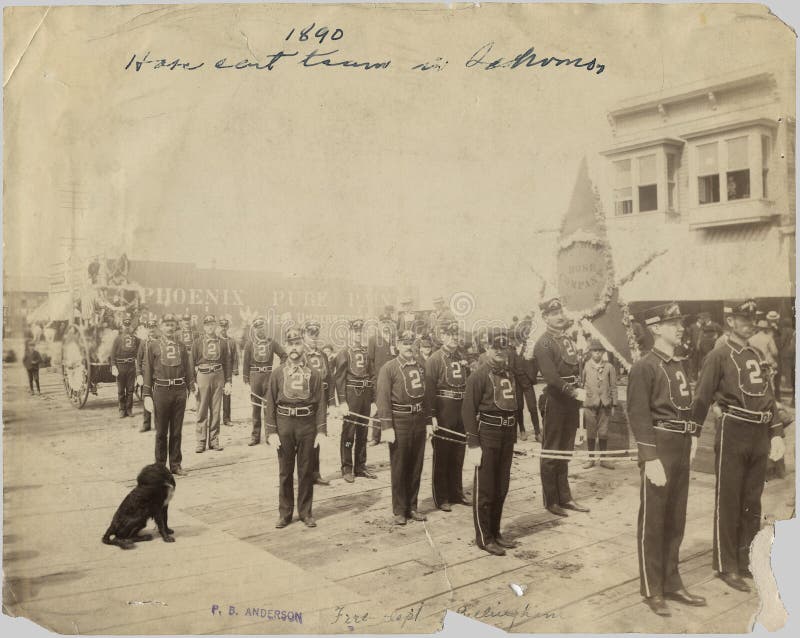 Fire Department, Bellingham Picture. Image: 222348286