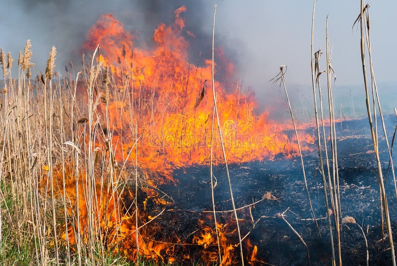 The Destroyer Fire Control Radar Stock Photo - Image of armor ...