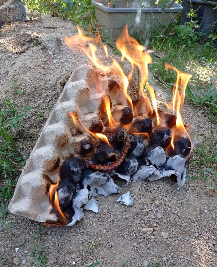 Fire with die centerpiece stock photo. Image of pond - 235730630