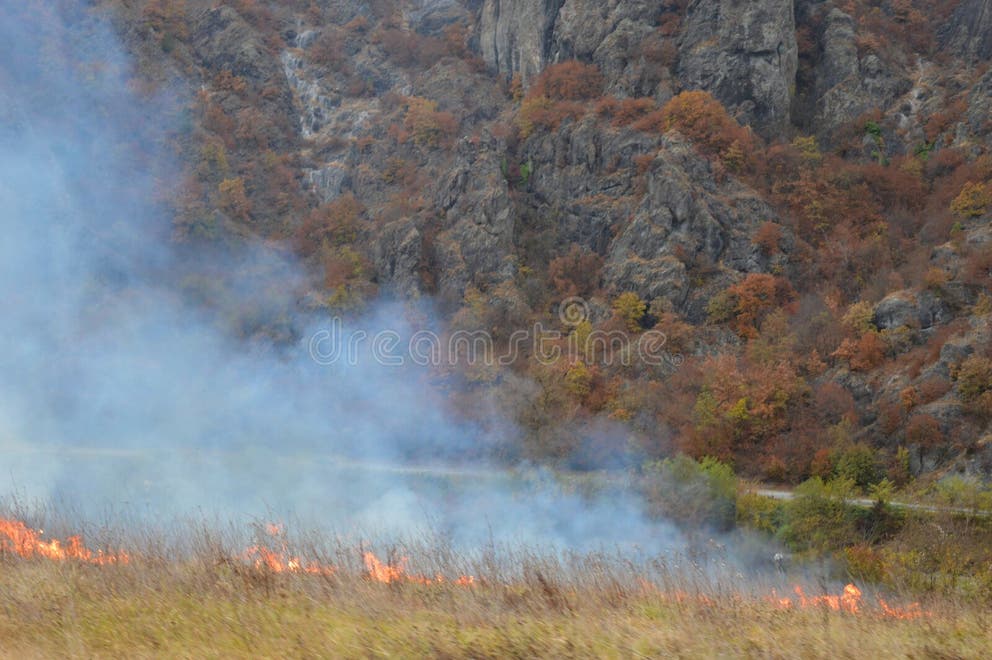 Fire in the meadow stock image. Image of color, nature - 130484971