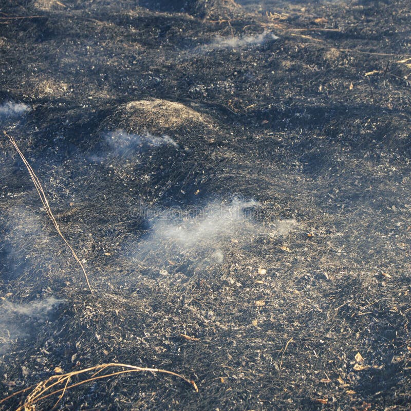 A Fire in a Dry Field in Early Spring and the Smoke Left on the Burnt ...