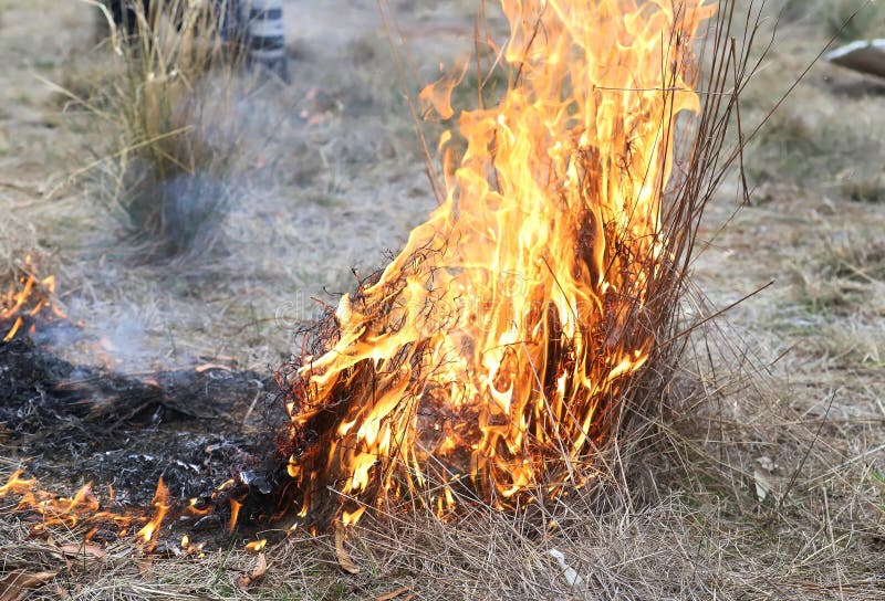 Fire on Dry Grass, Fire Flame, Start of Fire, Danger Symbol Stock Photo ...