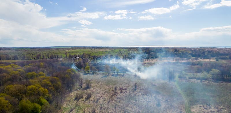 Fire Dry Grass in Forest, Aerial Top View Stock Image - Image of burn ...