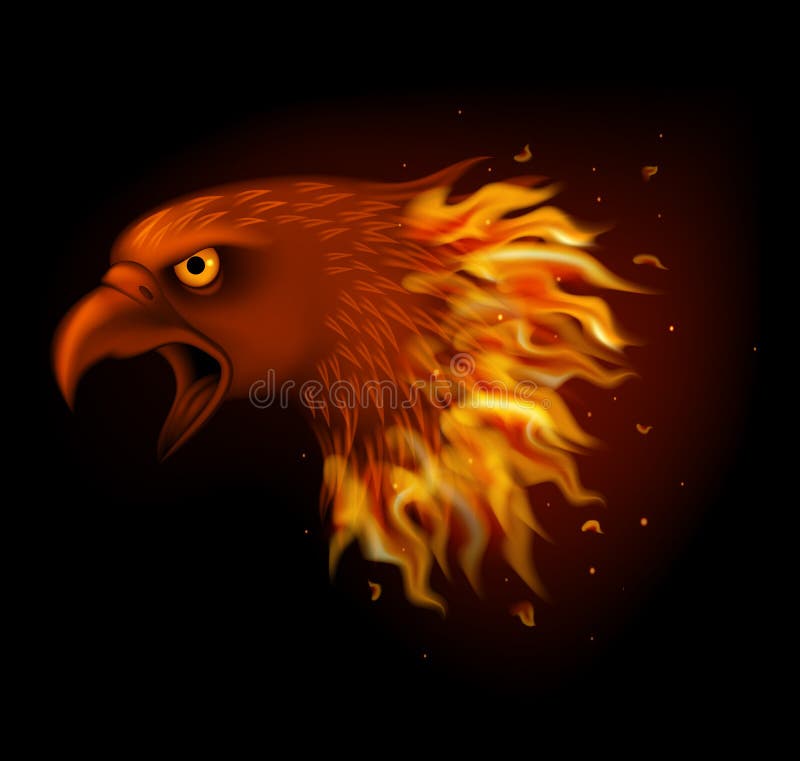 Fire Eagle Head Isolated on Black Background Stock Vector ...