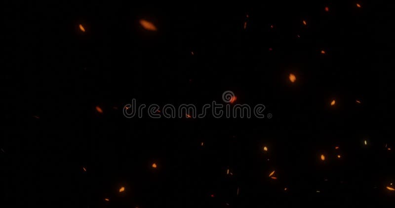 Fire embers sparks in air stock footage. Video of ember - 239278972