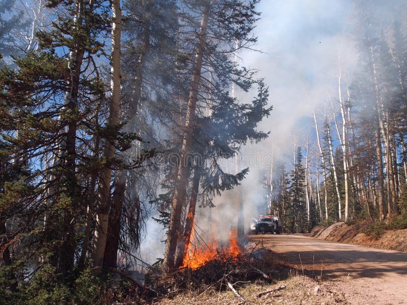 Fire Engine stock photo. Image of engine, forest, wildfire - 46407914