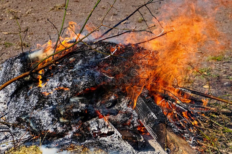 Fire Engulfs Dry Branches, Producing Thick Smoke Stock Image - Image of ...