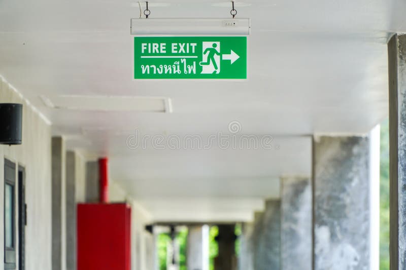 Fire Exit Sign on the Ceiling of a Building, Fire Exit Sign,Fire ...