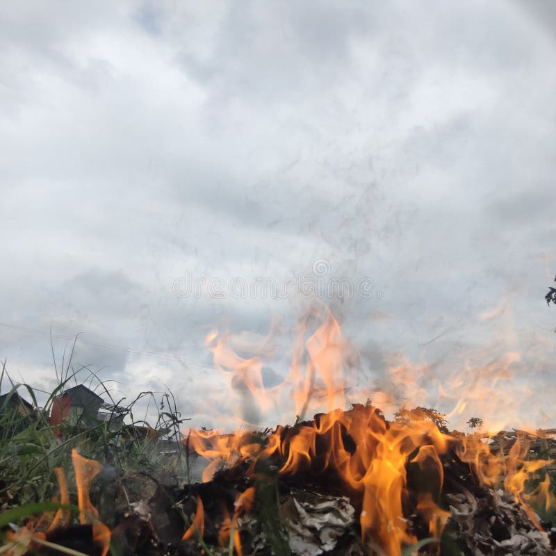 Fire Exposed To Burning in Paddy Fields Stock Image - Image of paddy ...