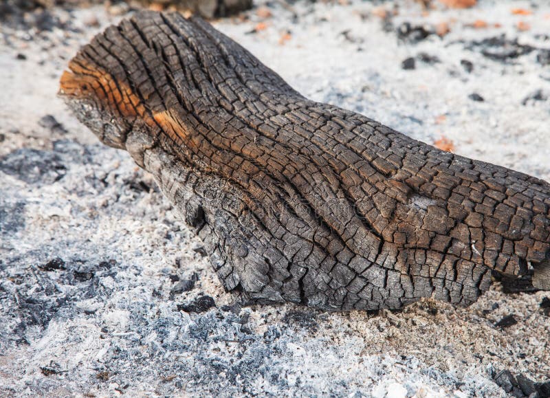 Fire extinct stock image. Image of charred, texture, burnt - 62887405