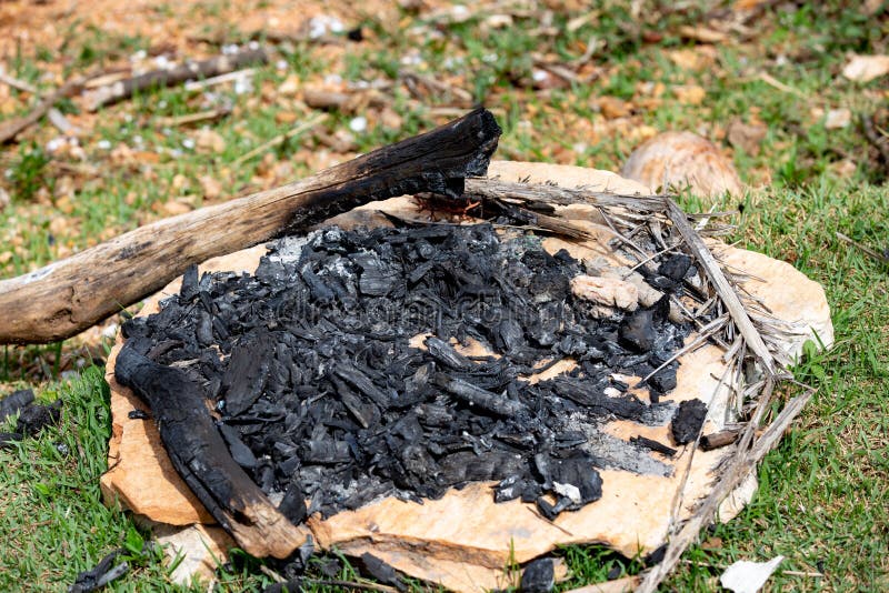 Fire Extinguished with Coal and Ash. Stock Image - Image of leaf, twigs ...