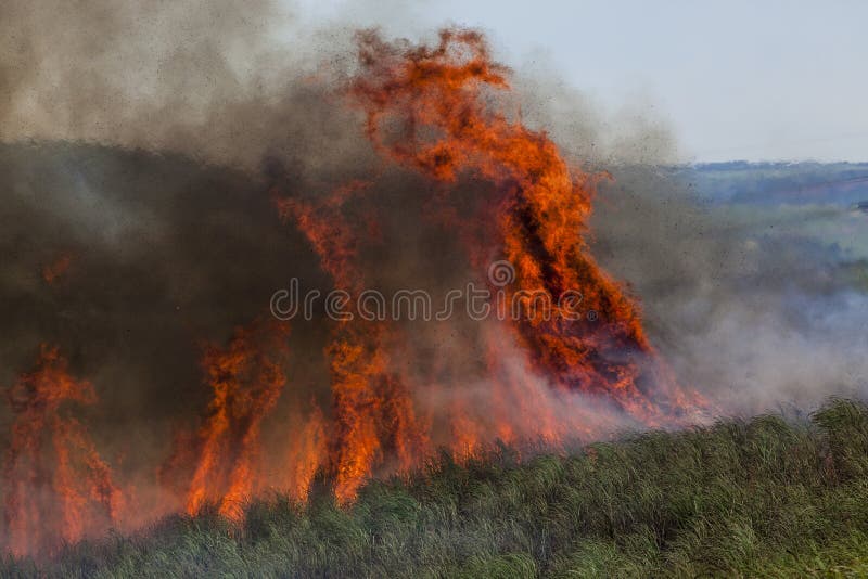 Fire Farm Blazing stock image. Image of sugarcane, wind - 27881383